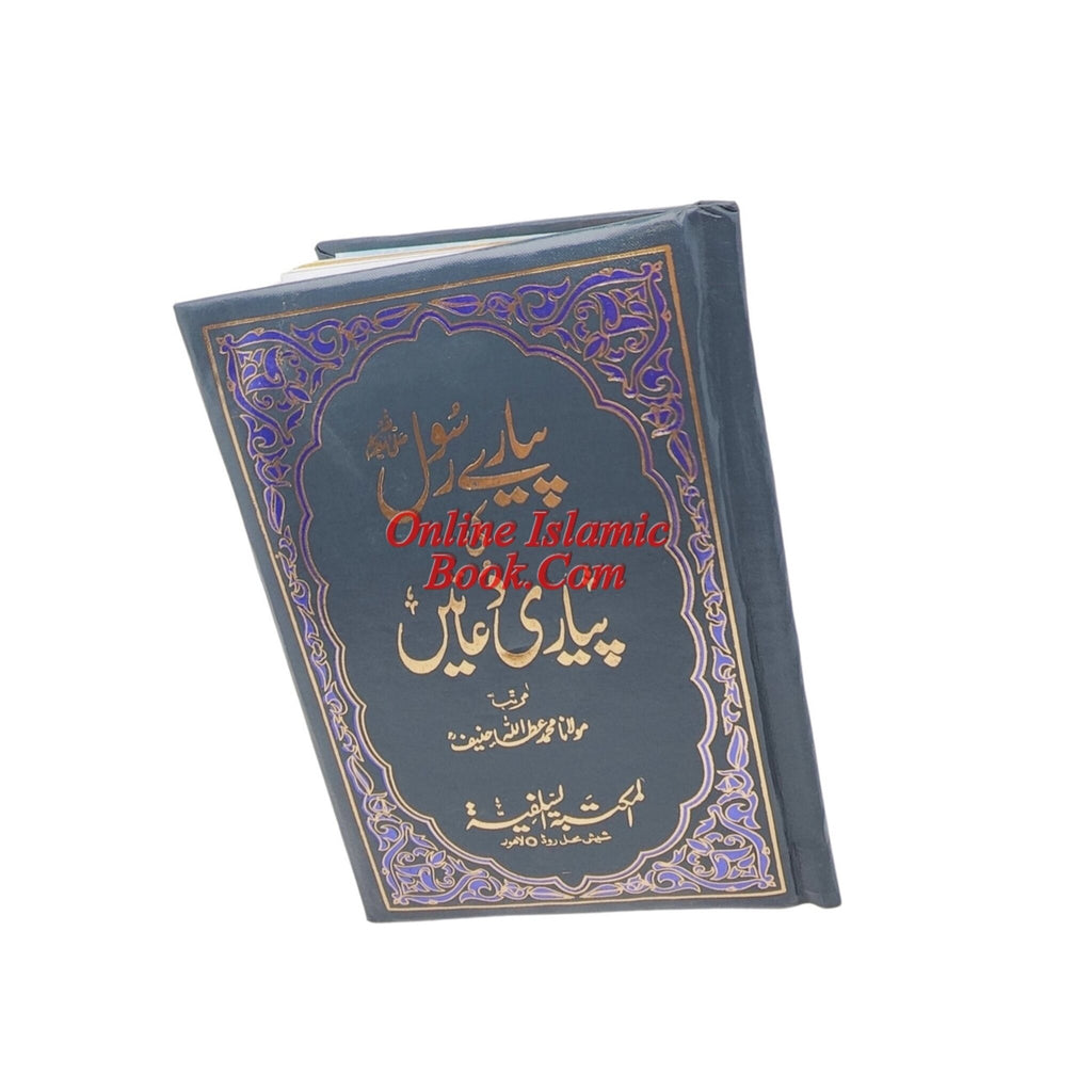 Pyaray Rasool ki Pyari Duain (Urdu Language) – Online Islamic Book